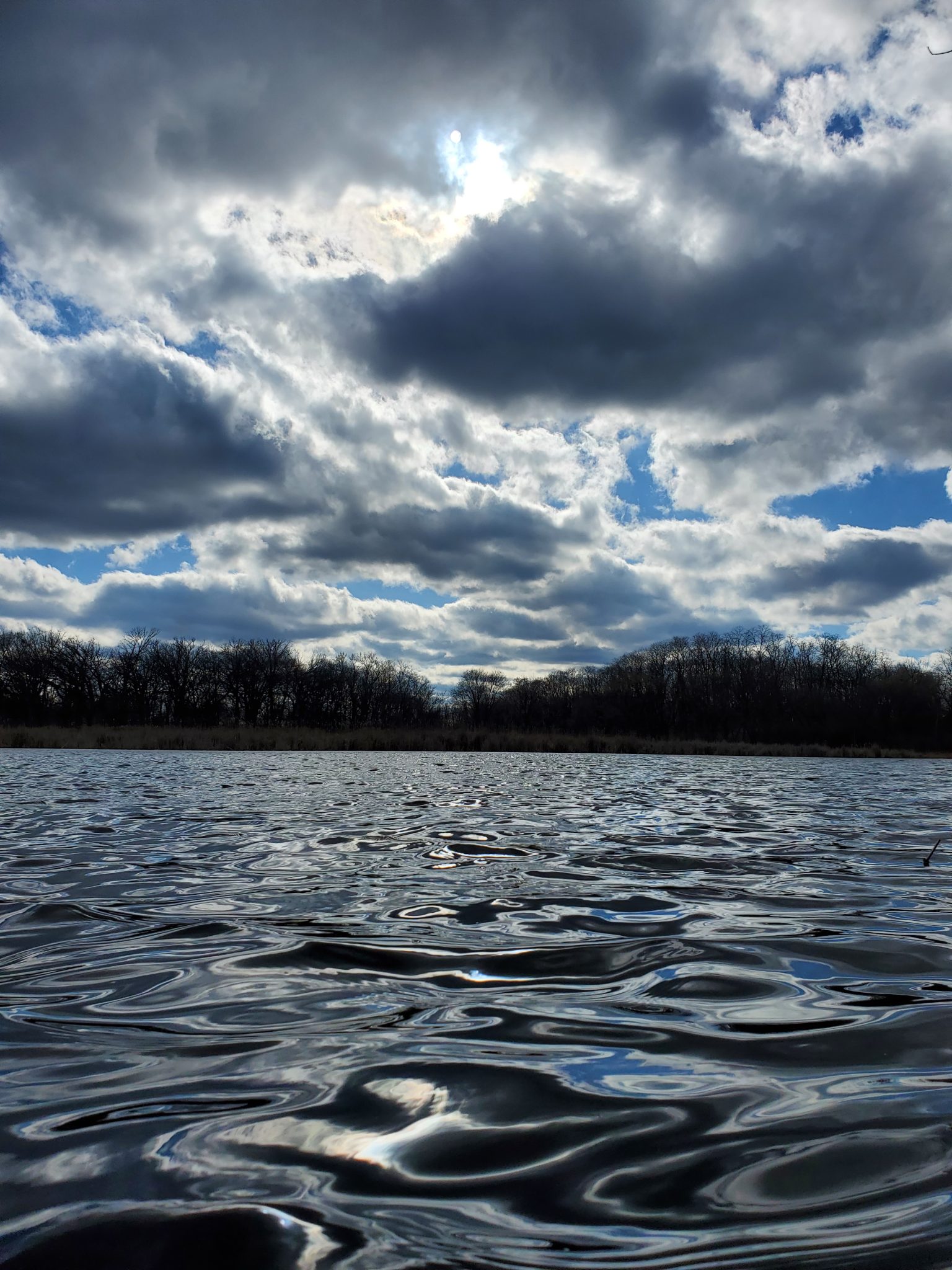 Photos - Illinois Prairie Path